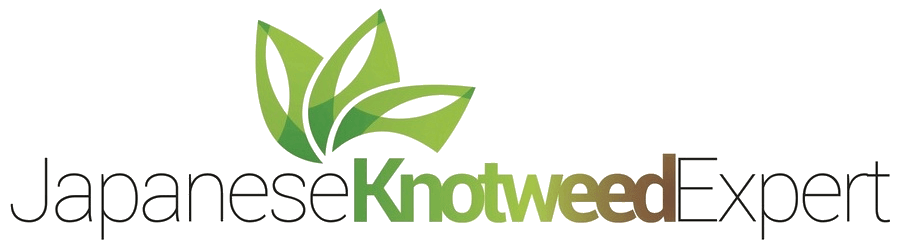 Japanese Knotweed1 - Japanese Knotweed Expert